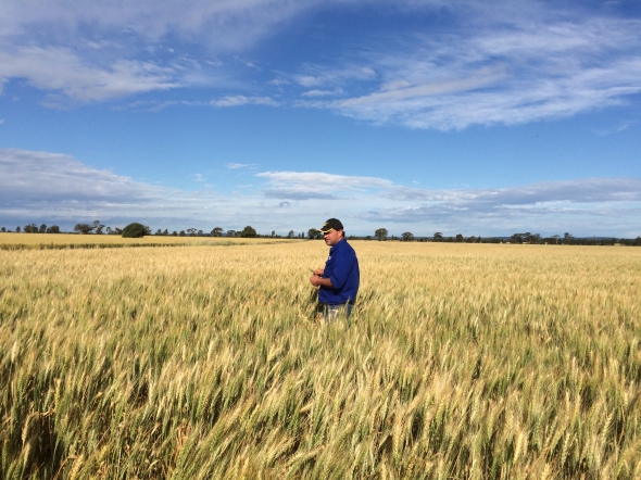 Preserving the legacy of Green Grove Farm